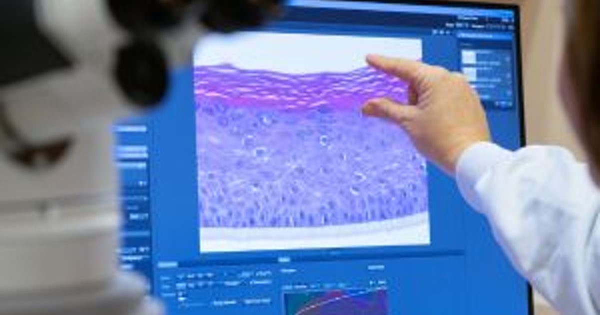 Artificial intelligence for animal-free testing research | Animal Free ...